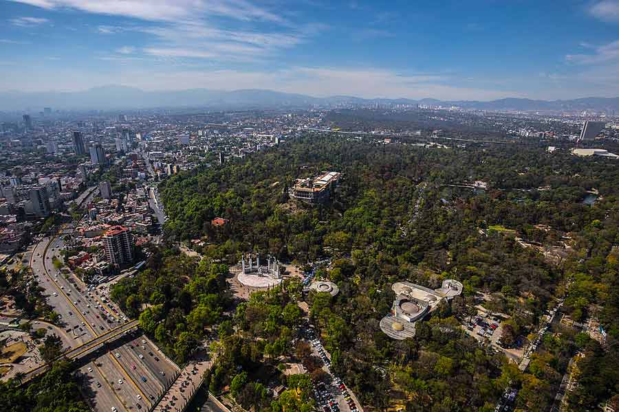 Conoce con este mapa los árboles que componen al Bosque de Chapultepec