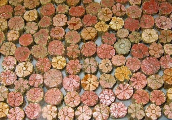 Las increíbles 'piedras de flor de cerezo': una maravilla natural