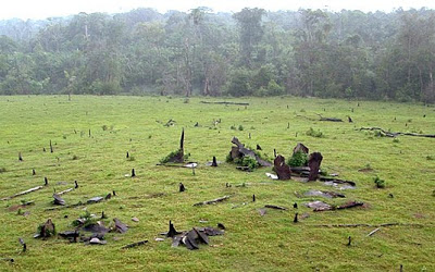 Rego Grande: el Stonehenge del Amazonas