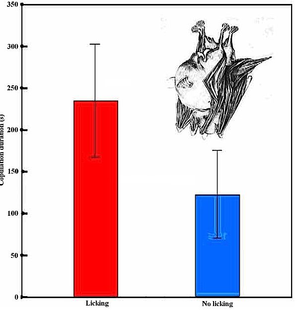 Felattio en murciélagos causa escándalo en mundo académico