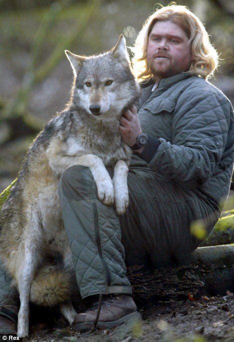 Hombre vive con lobos durante un año y termina siendo parte de la manada