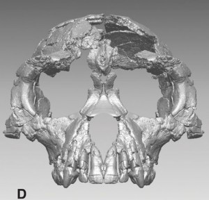 El Origen De La Humanidad Podría Encontrarse En Los Ríos