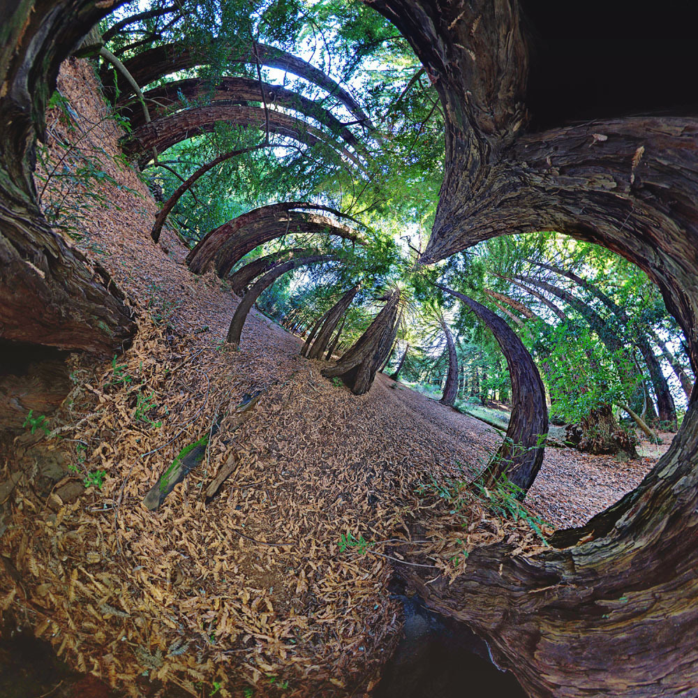 Girando el mundo 360°: sorprendentes fotografías de Randy Scott Slavin