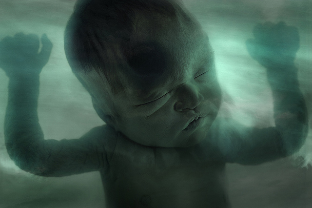 Filósofo gana beca de 5 millones de dólares para investigar la inmortalidad