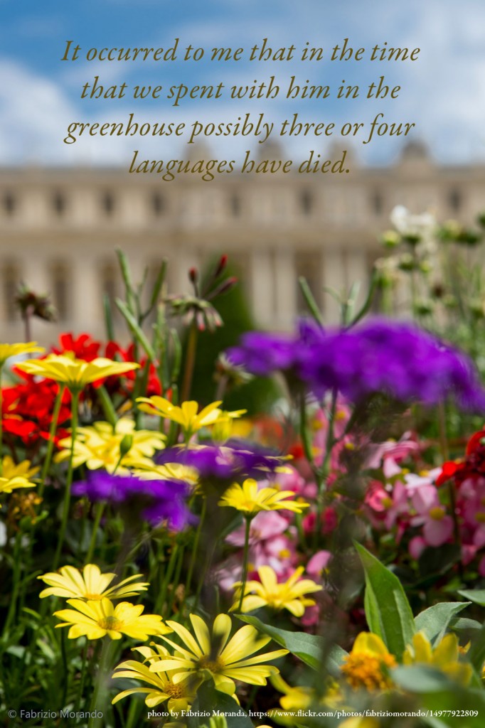 ¿Deprimidos? Werner Herzog nos inspira (recordándonos que todo puede ...